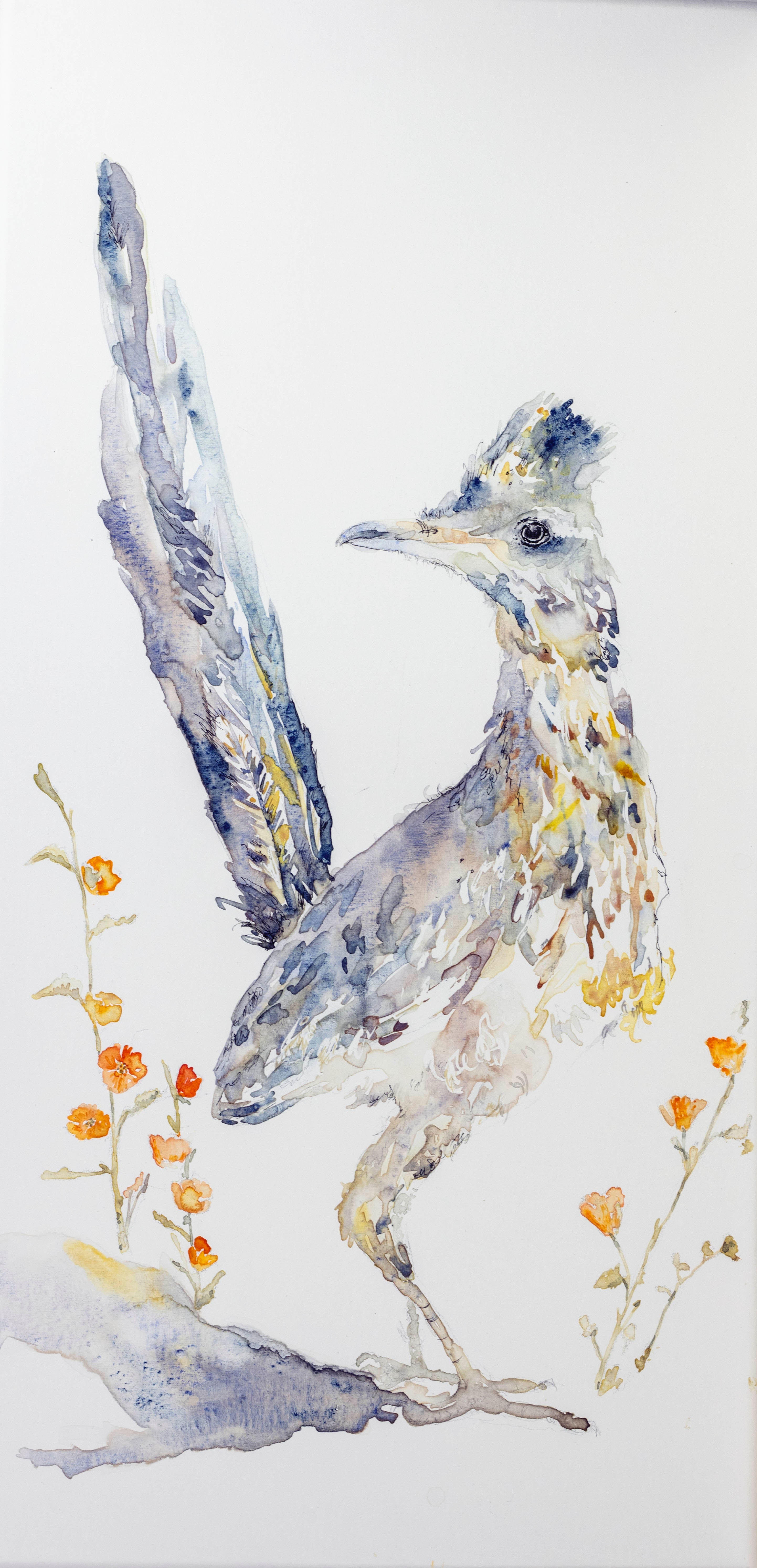 Chloe Duncan | Original Watercolour Paintings | Watercolour Artist ...
