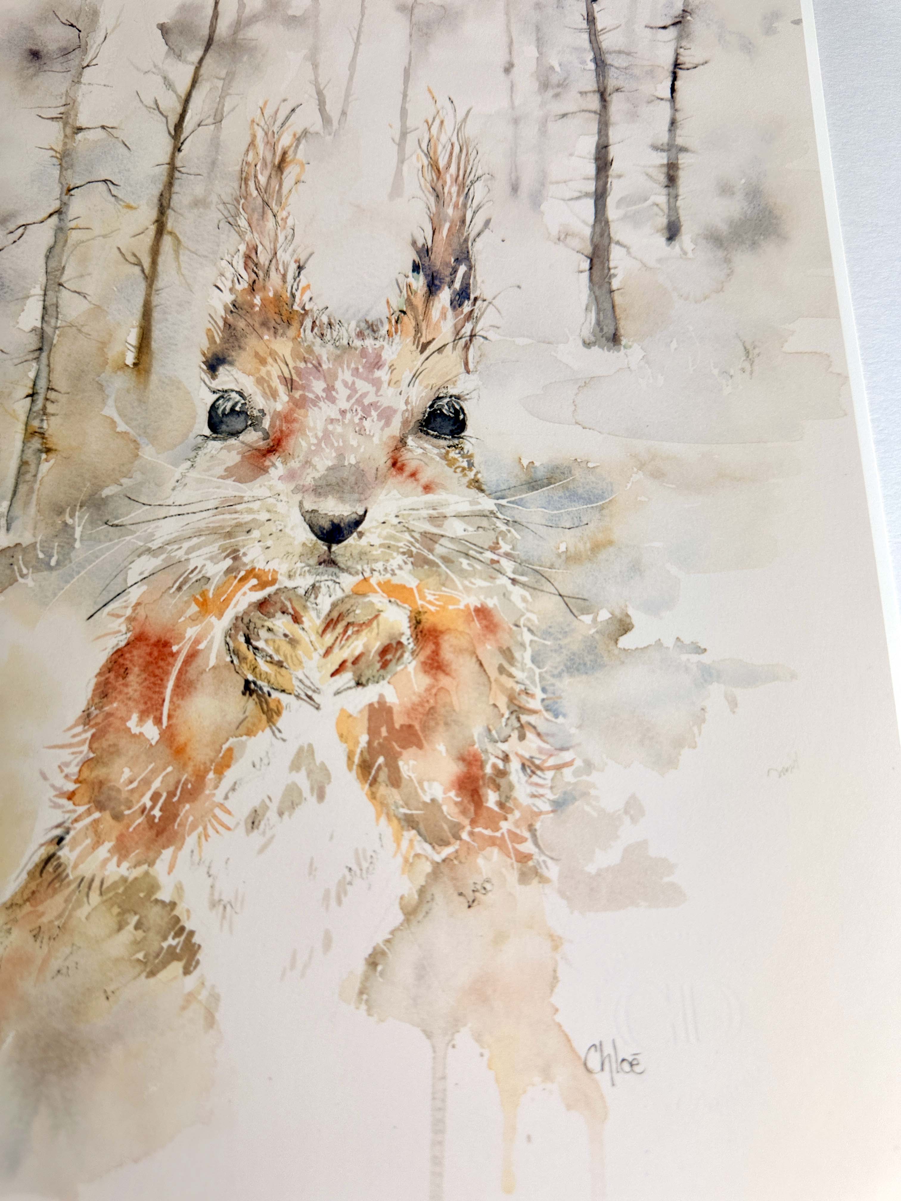 Chestnut Squirrel artist proof print – Chloe Duncan Watercolours