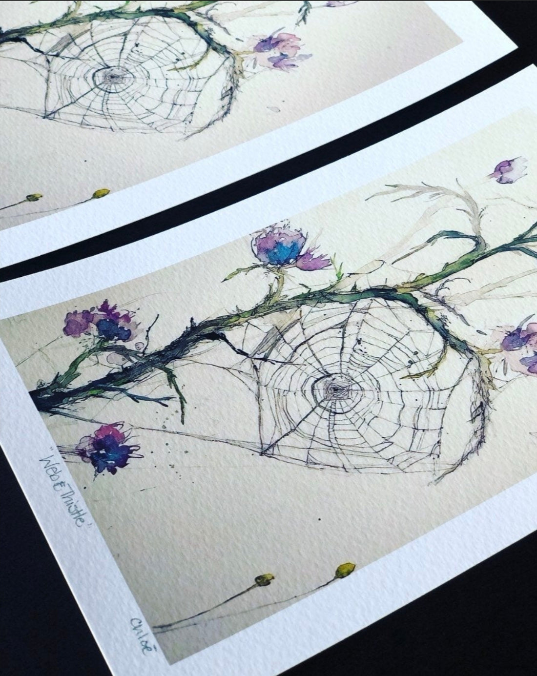 Web & Thistle – Chloe Duncan Watercolours