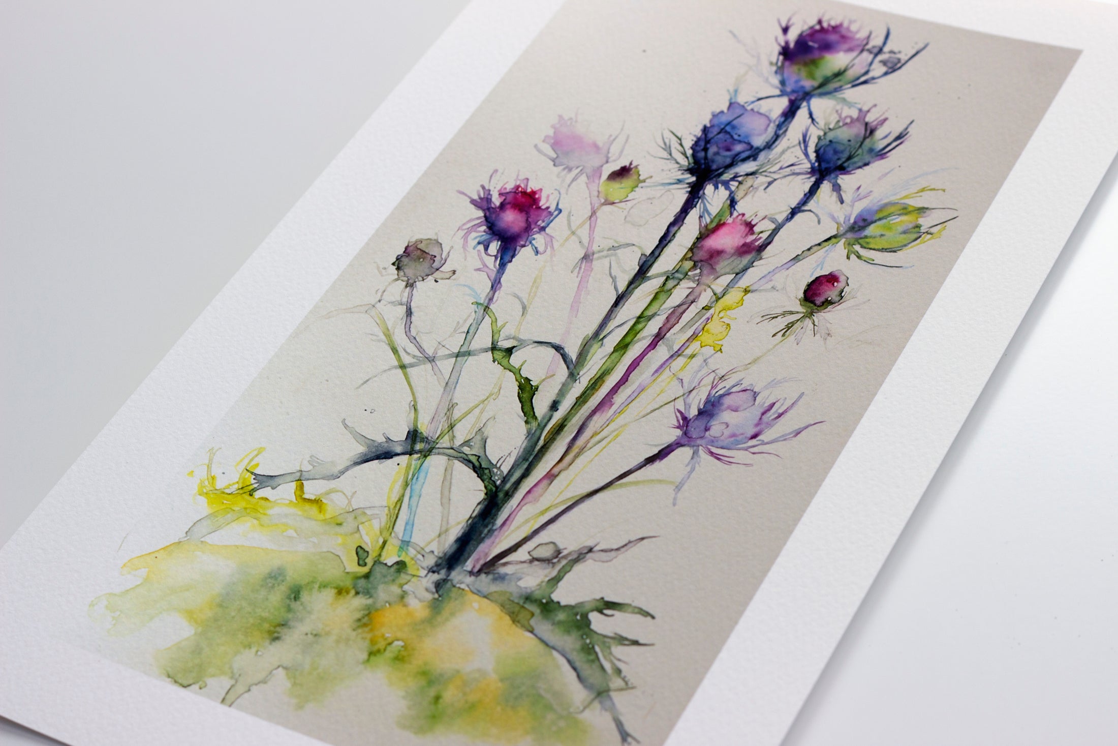Thistle of Scotland – Chloe Duncan Watercolours