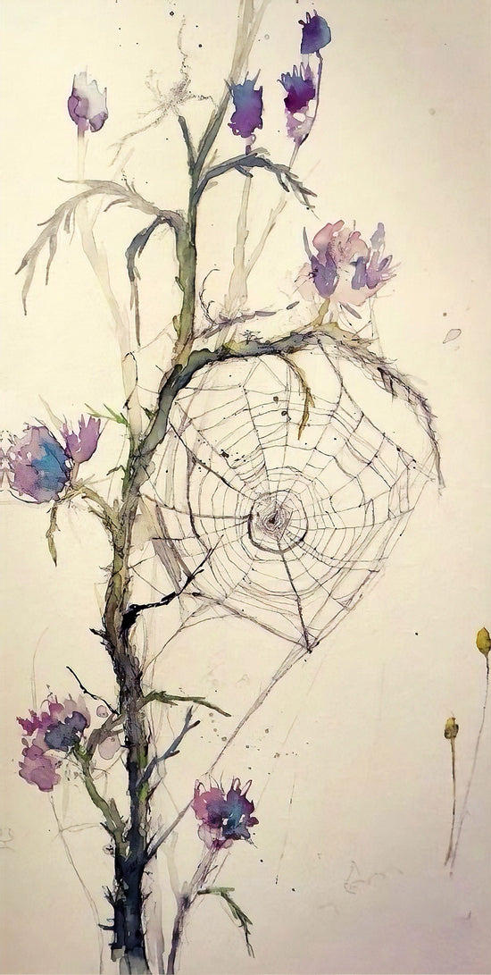 Web & Thistle – Chloe Duncan Watercolours